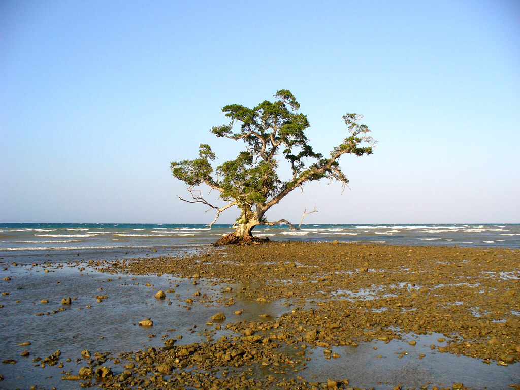 Beste Reisezeit für Osttimor | Klima, Wetter, Wohin reisen?